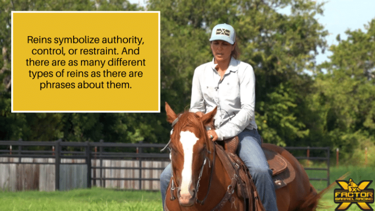 Barrel Racing Reins - What You Need to Know | X Factor Barrel Racing