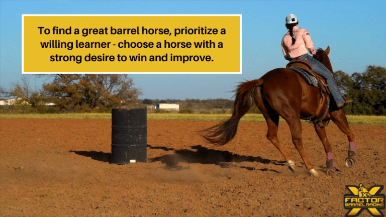 Finding the Perfect Barrel Horse | X Factor Barrel Racing
