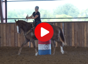 X Factor Barrel Racing Training - Videos & Online Coaching